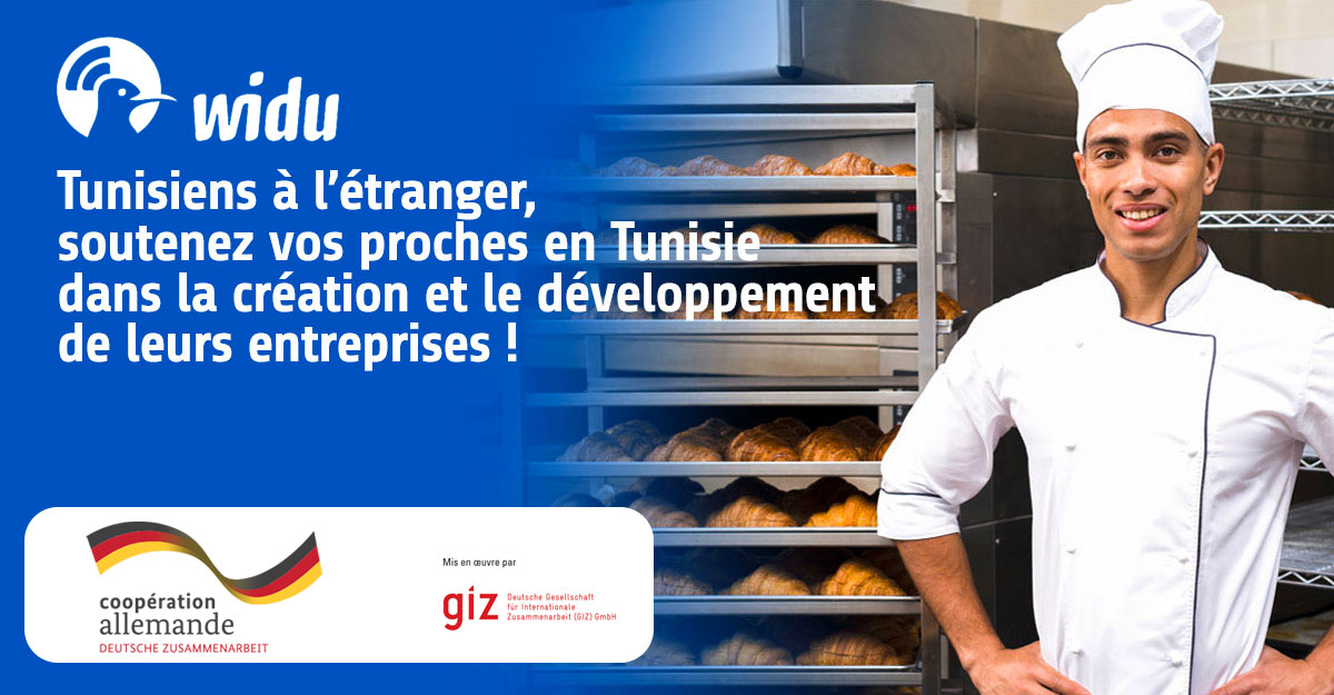 WIDU: campagne digitale pour promouvoir la création de petites ...