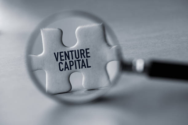 Voici ce que recherchent les venture capital dans les startups portées ...