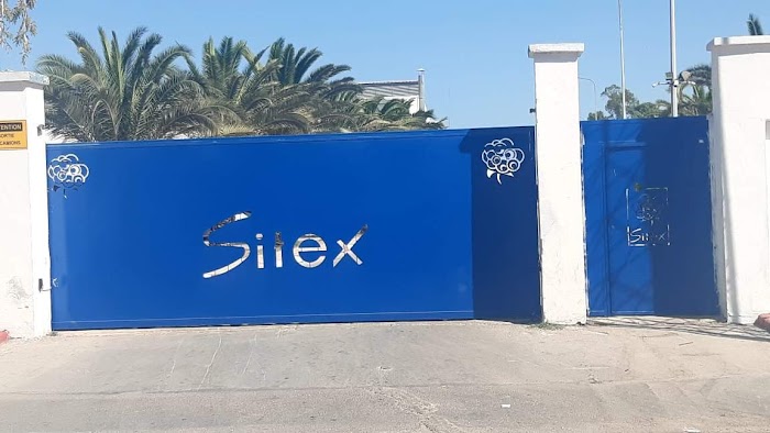 Sitex voit ses revenus chuter de plus de 54% en 2023 - Managers