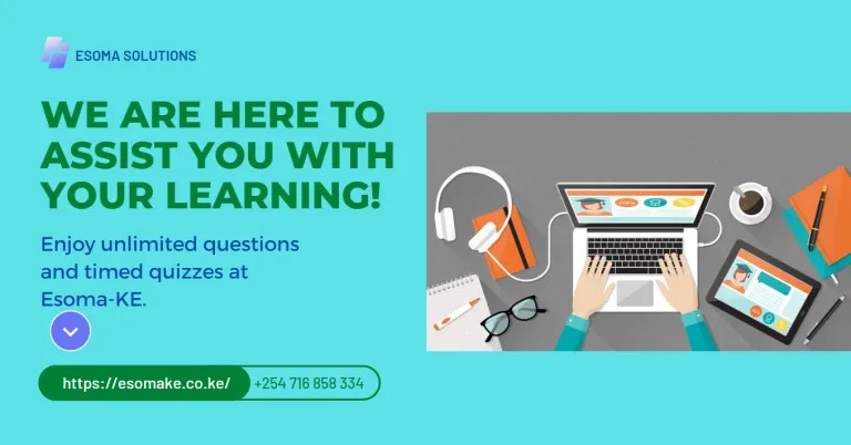 Esoma Solutions, ou comment combattre l'analphabétisme en Afrique ...