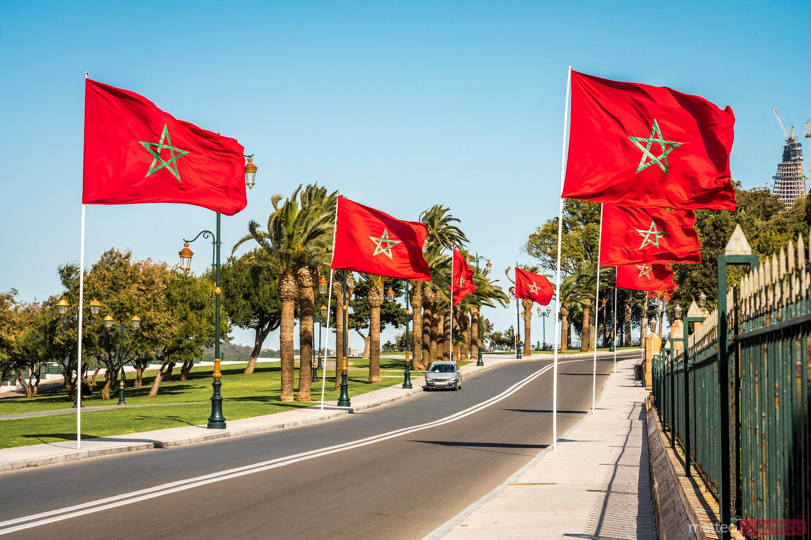 Startups: le Maroc vise deux licornes et dix gazelles d’ici à 2030 - Managers
