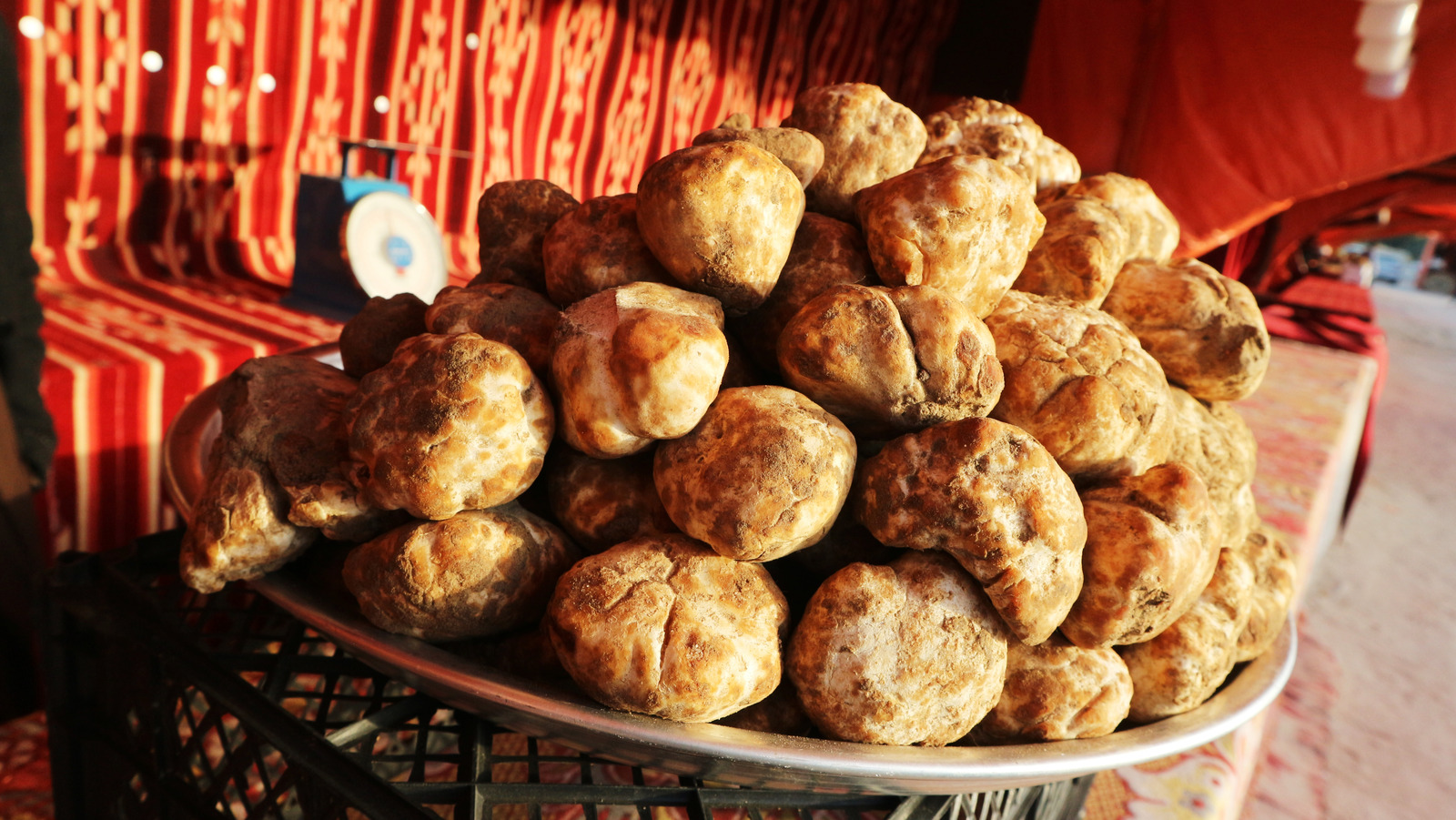 C'est la saison des truffes... Découvrez les secrets du "diamant noir ...